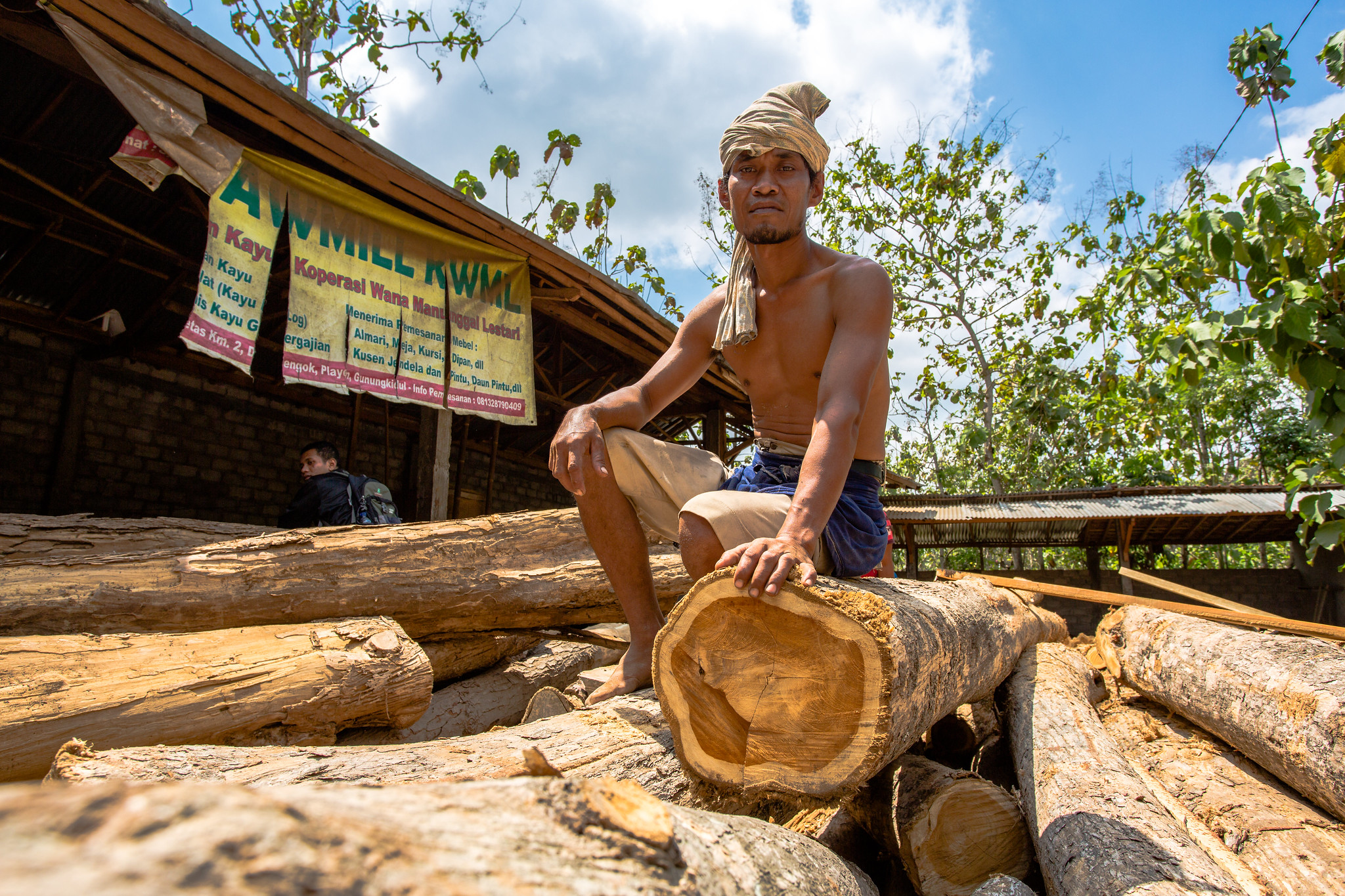 Sustainable Timber: Conservation Vs Economic Demands – Commodity ...