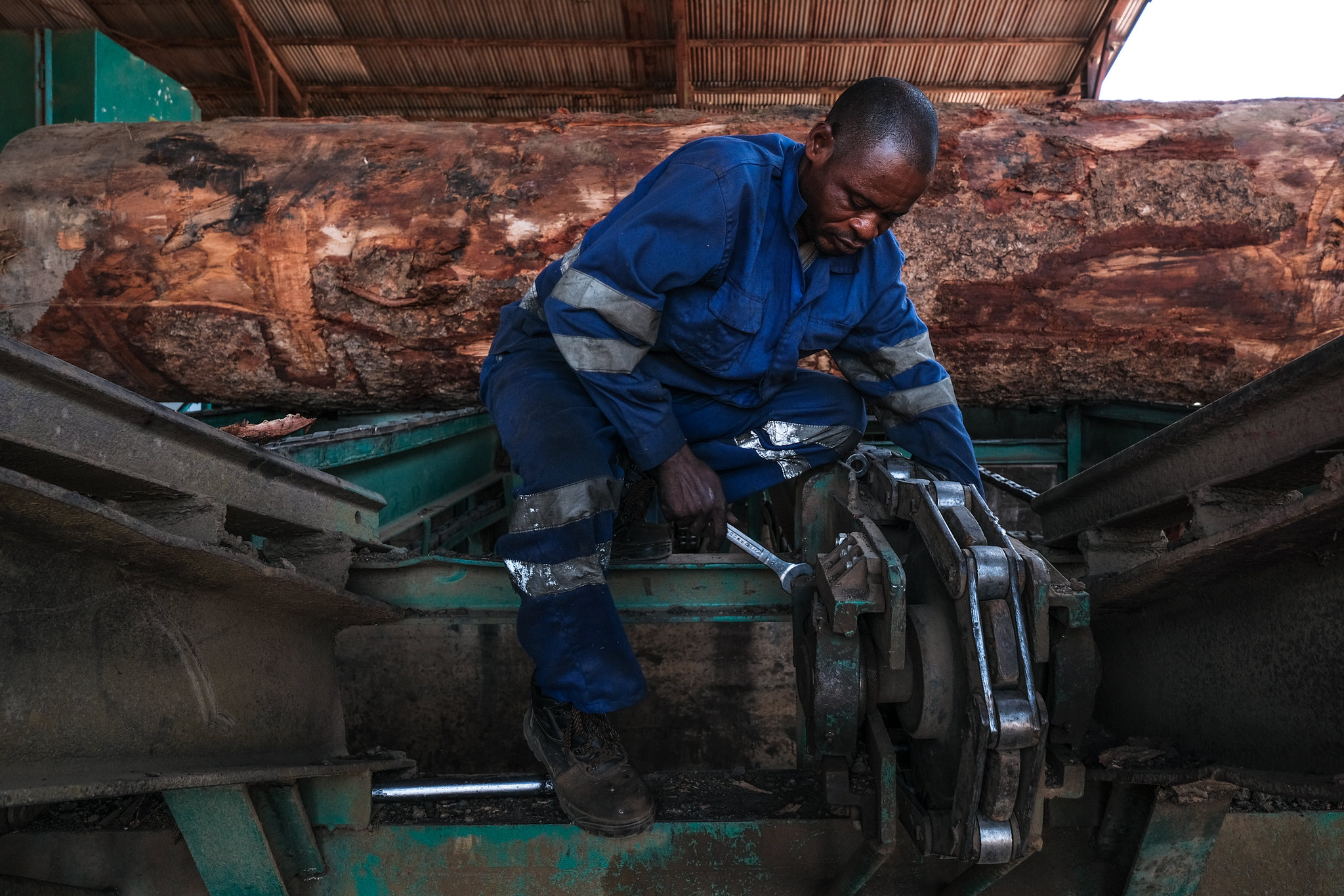 Sustainable Timber: Conservation Vs Economic Demands – Commodity ...